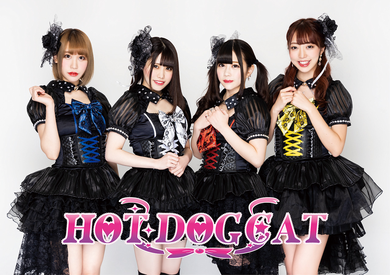 HOT DOG CATの今こそ聴きたいメンバーおすすめ楽曲／コロナに負けない！「心が健康になる」エールソング特集 - HARAJUKU POP WEB